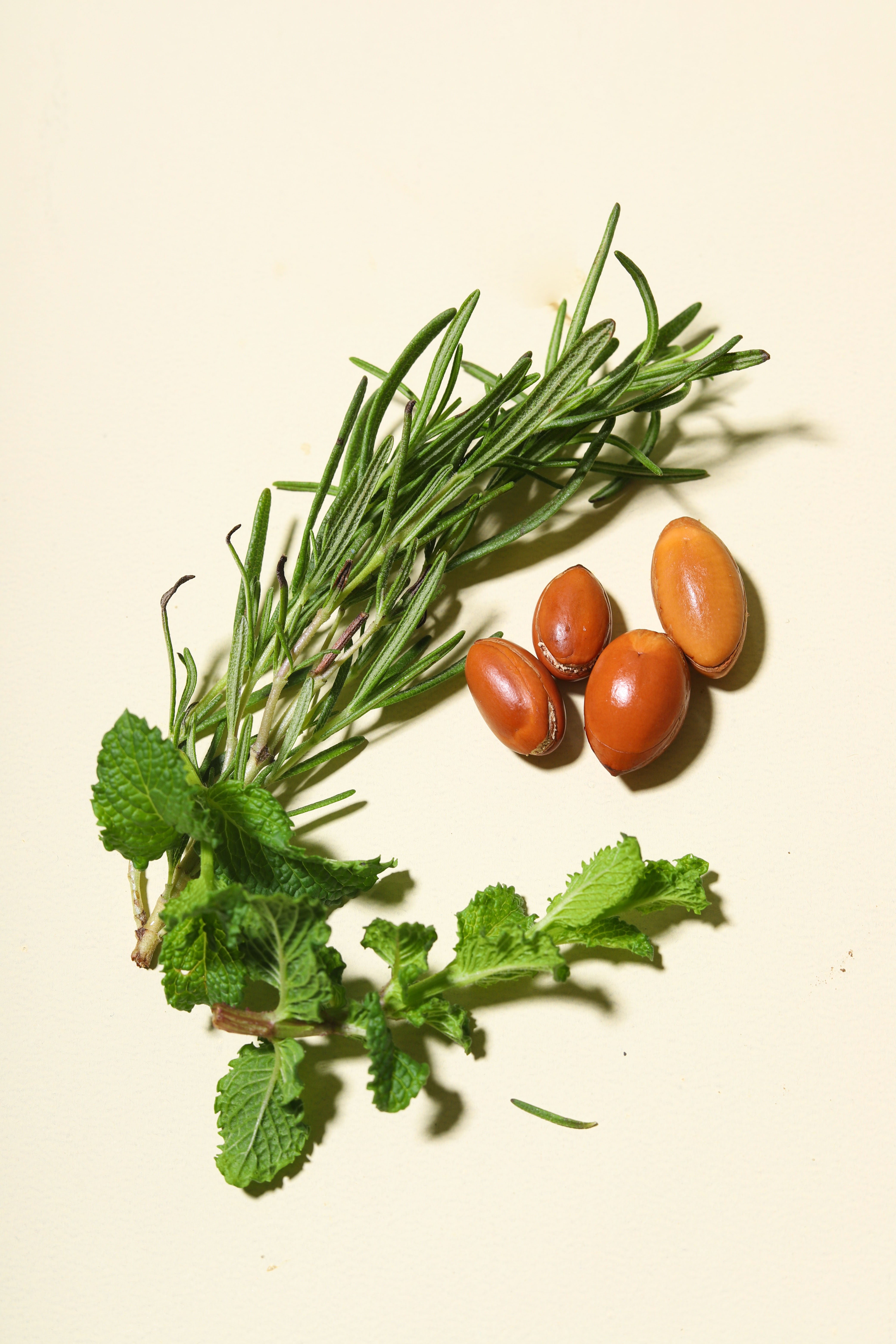 Rosemary Mint Revitalizing Hair Oil – Arganmidas